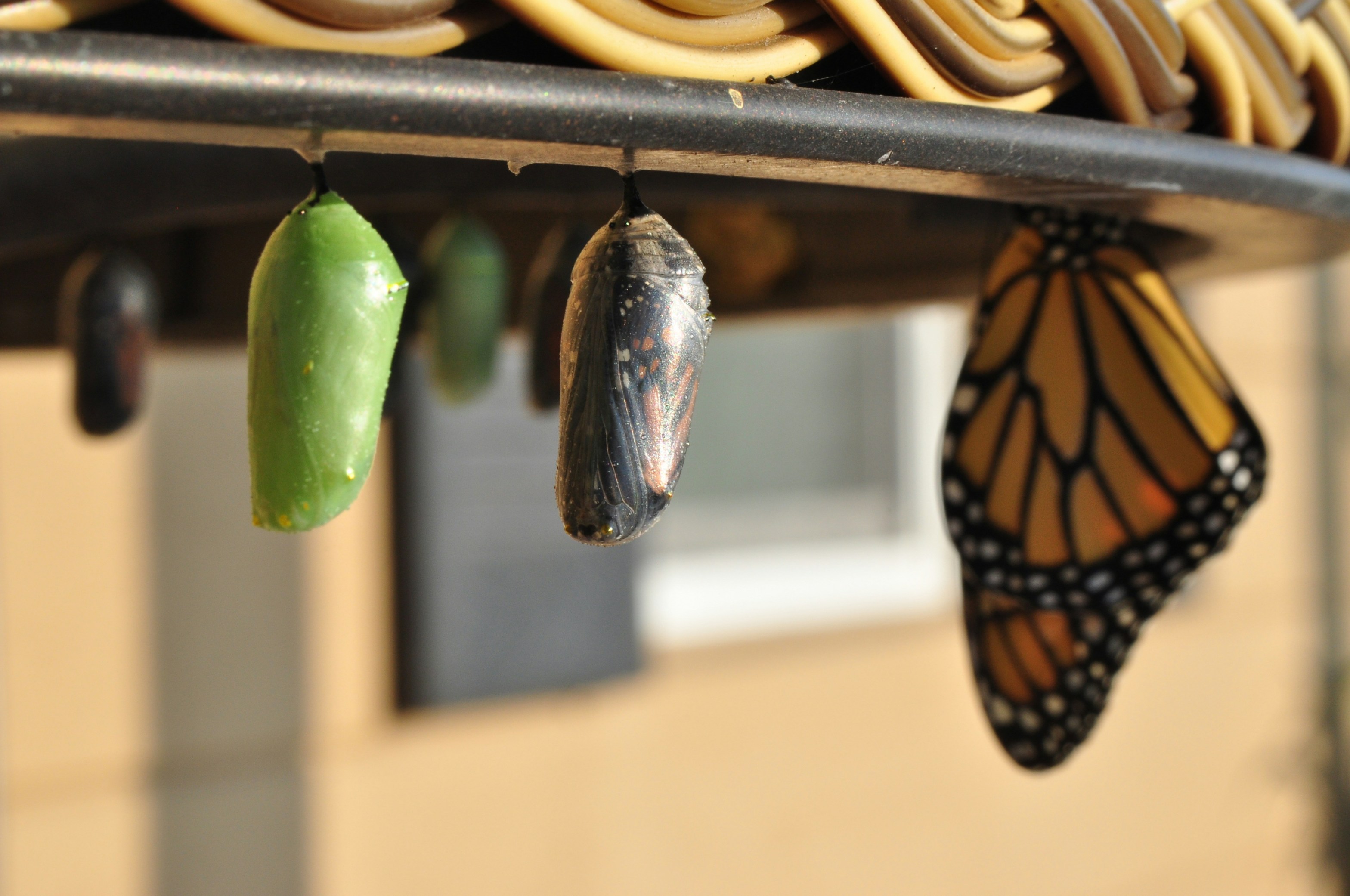 How Do We Measure Christian Maturity? (Hint: It’s Not Just Bible Facts ...
